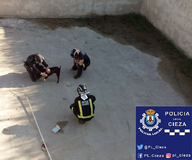 Policía y bomberos rescatan a una perra arrojada a una balsa en Cieza ...