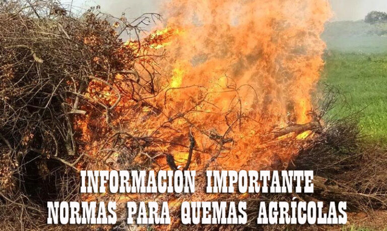 El Ayuntamiento de Abarán informa del nuevo procedimiento para las ...